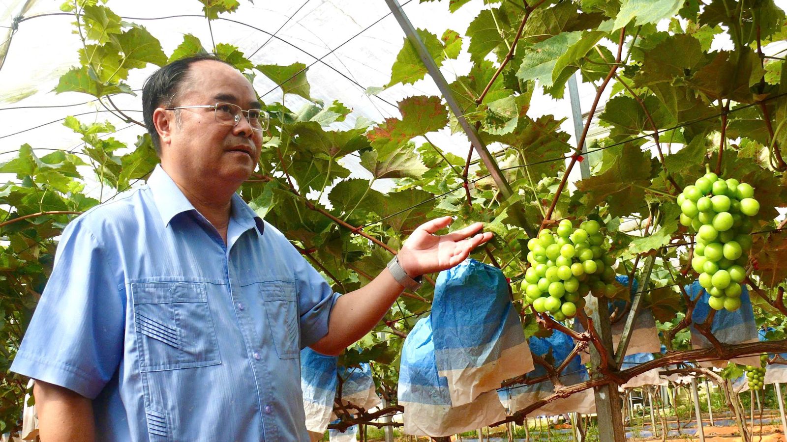Đồng chí Bí thư Đảng uỷ phường tham quan mô hình kinh tế tiêu biểu của ...
