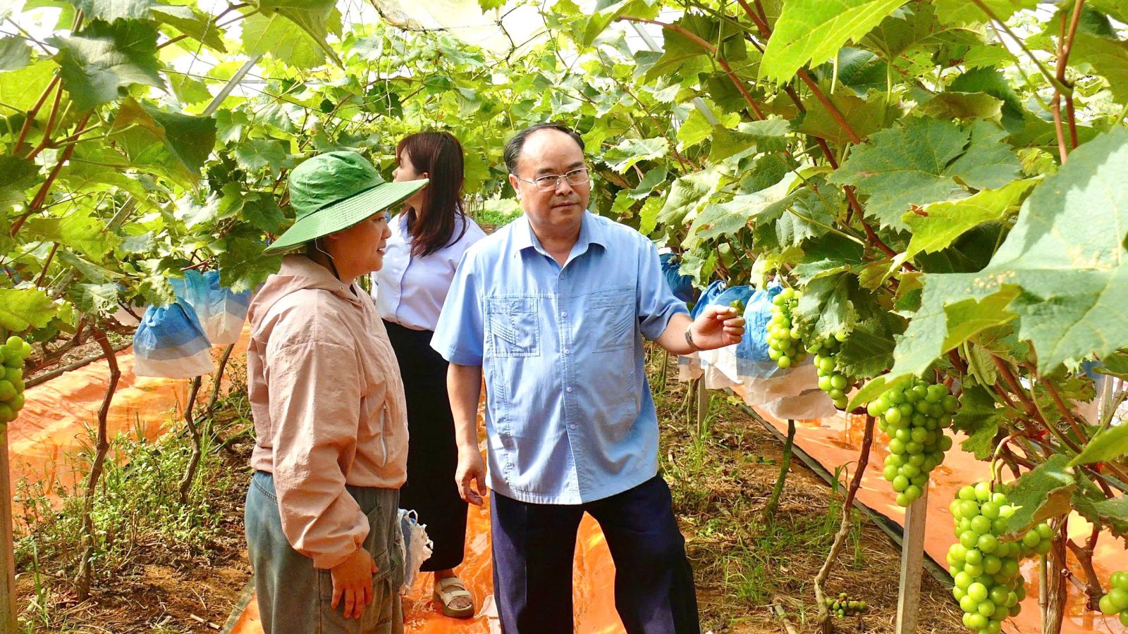 Đồng chí Bí thư Đảng uỷ phường tham quan mô hình kinh tế tiêu biểu của ...